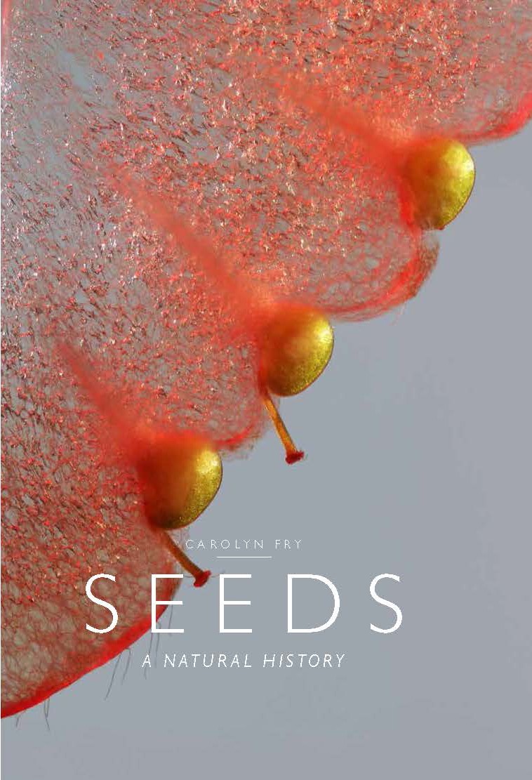 Why You Should Really Start Caring About Seeds
