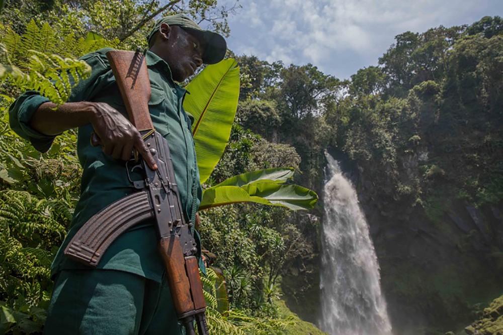 Protecting Gorillas at All Costs: Meet the Fearless Park Rangers of the ...