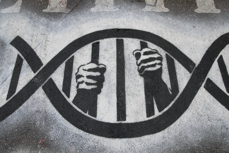 Can the Law Enforcement's DNA Database Tell Police Your Medical ...