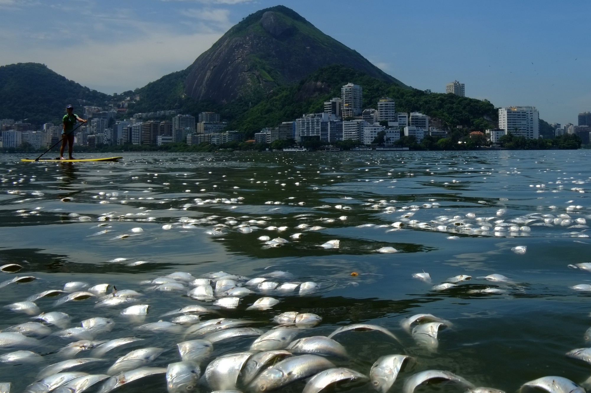 A Look at Brazil’s Polluted Waters