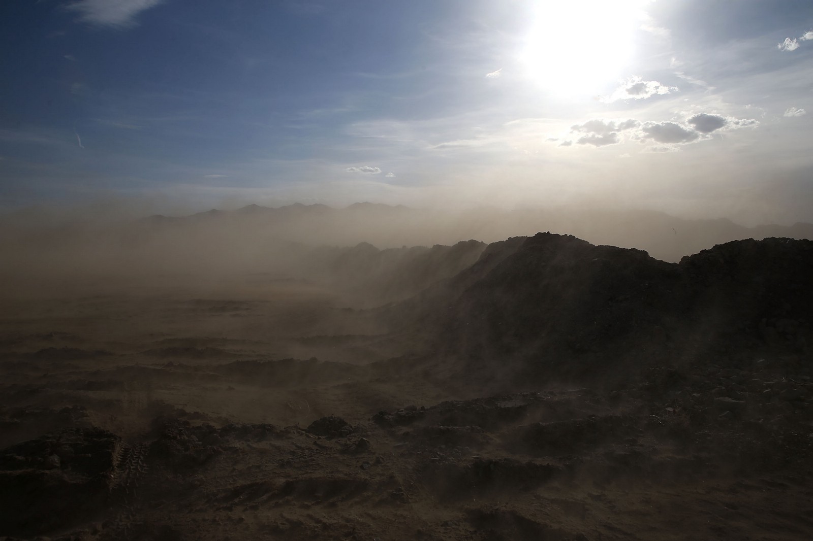 The Extraordinary Effects of Dust on Global Weather