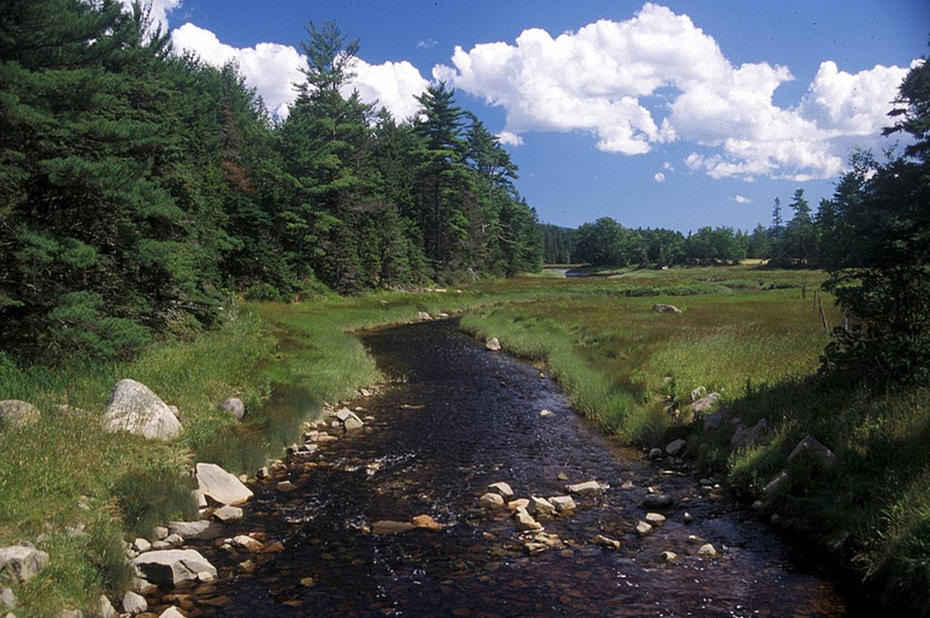 A River Ran Through It - Pacific Standard