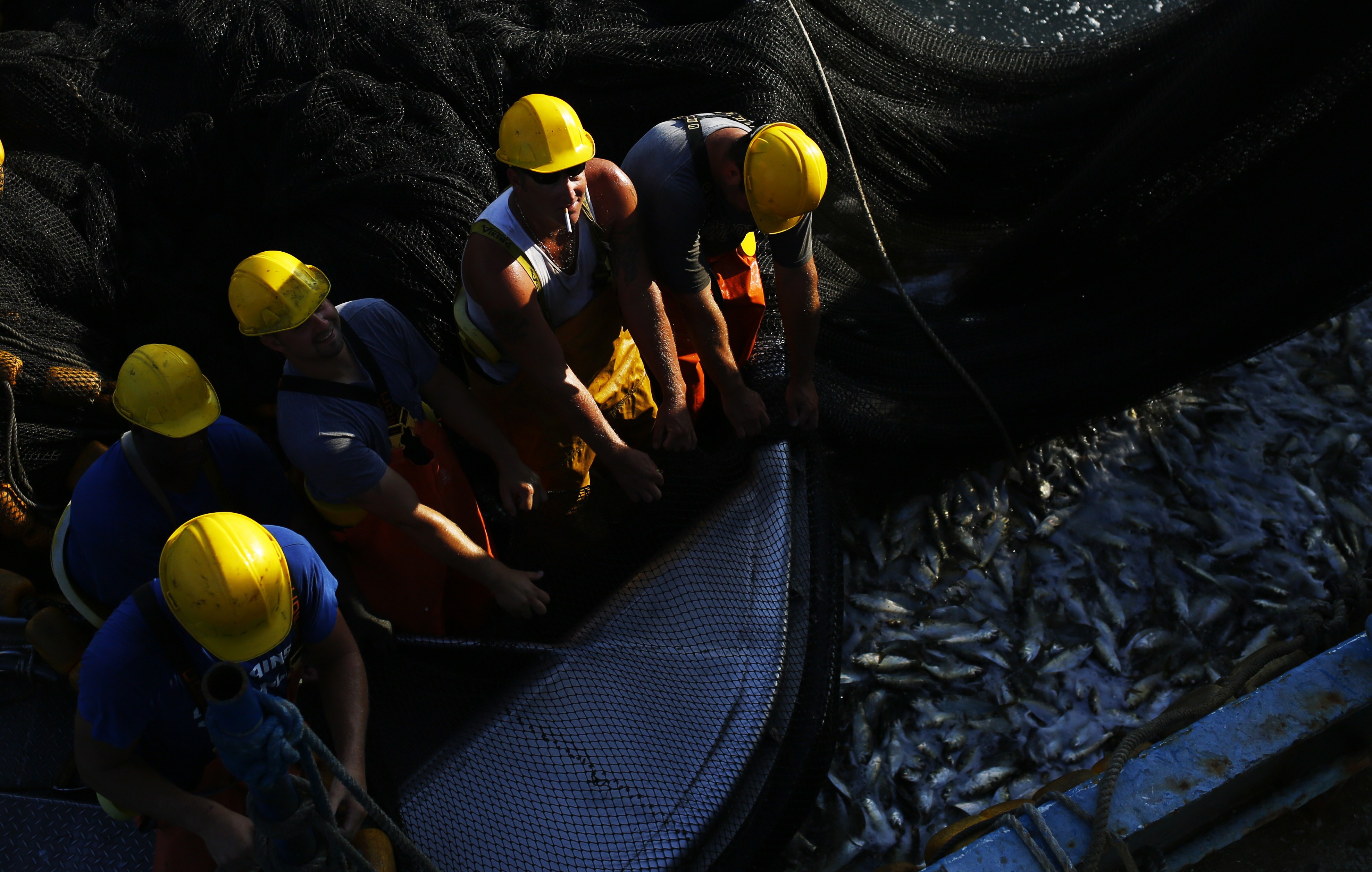 We're Running Out of Fish Faster Than We Thought - Pacific Standard