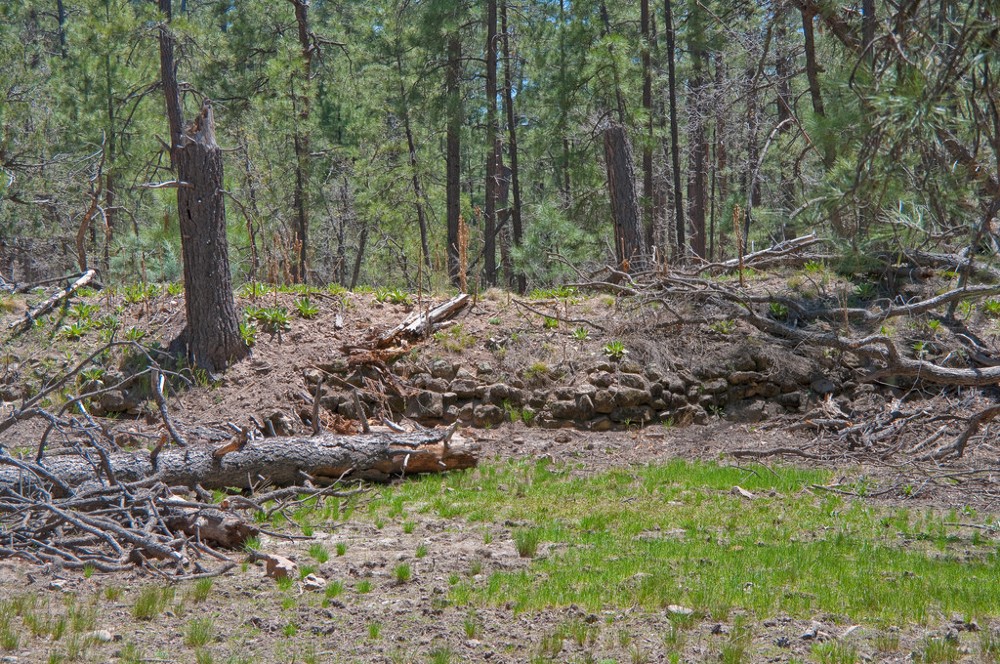 The Big Business of Land Theft on the Amazon Frontier