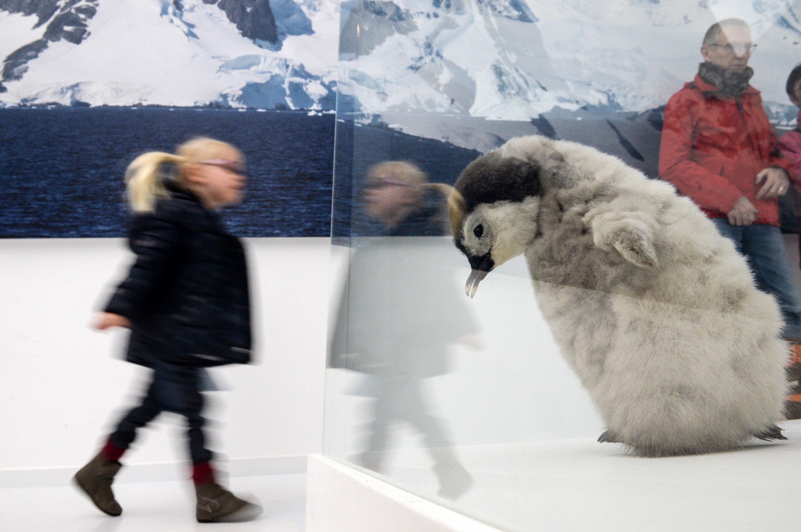 Scientists Can Also Be Advocates Without Losing Credibility