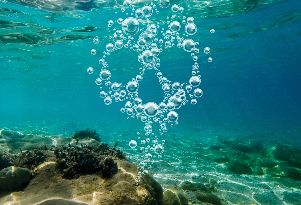 Four Stories for World Environment Day