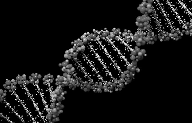 Why Your Race Isn't Genetic - Pacific Standard