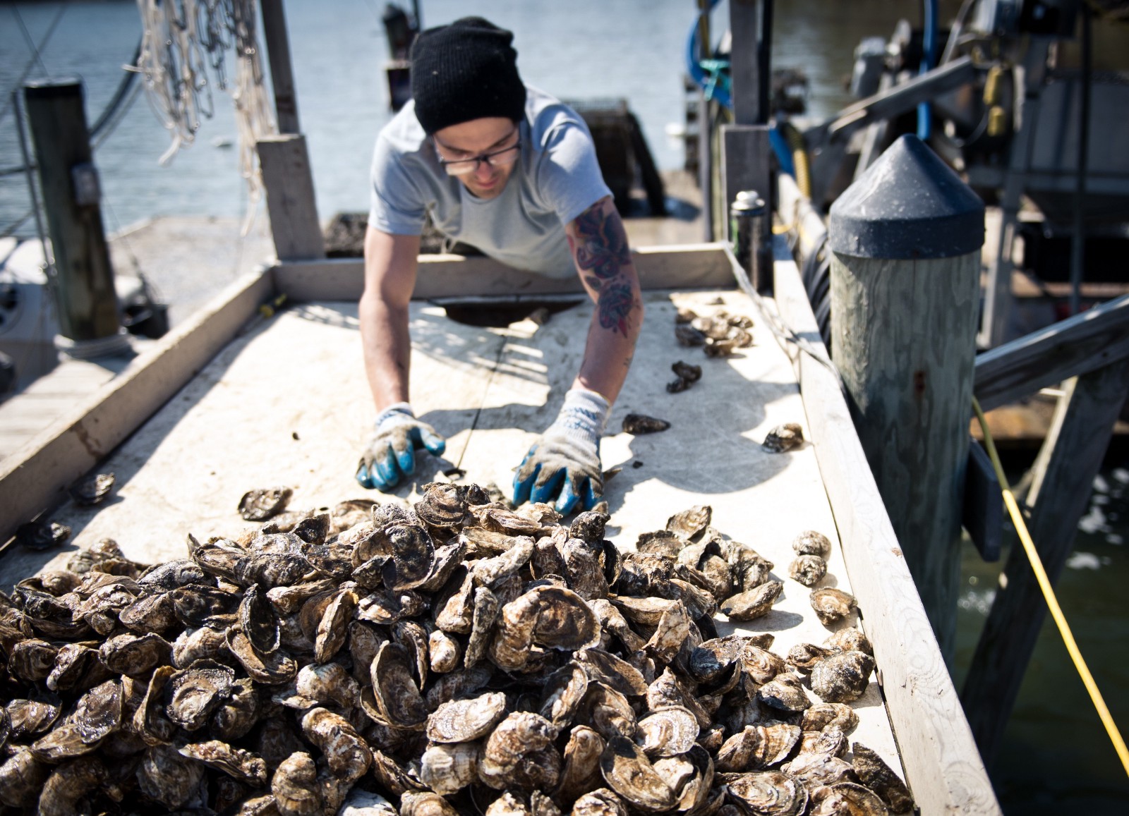 'I've Been a Pain in the Rear for the Republican Party': A Conversation ...