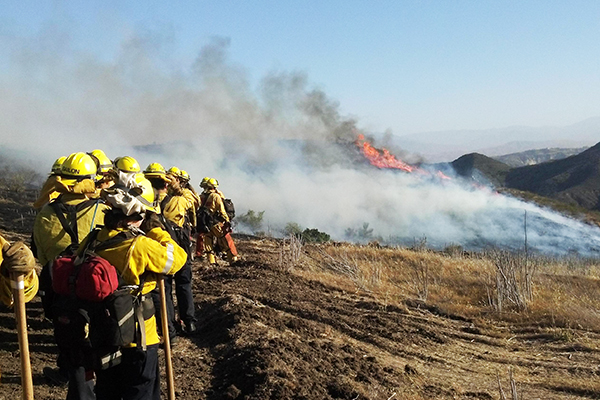A Note on the Brush Fires in Camarillo - Pacific Standard