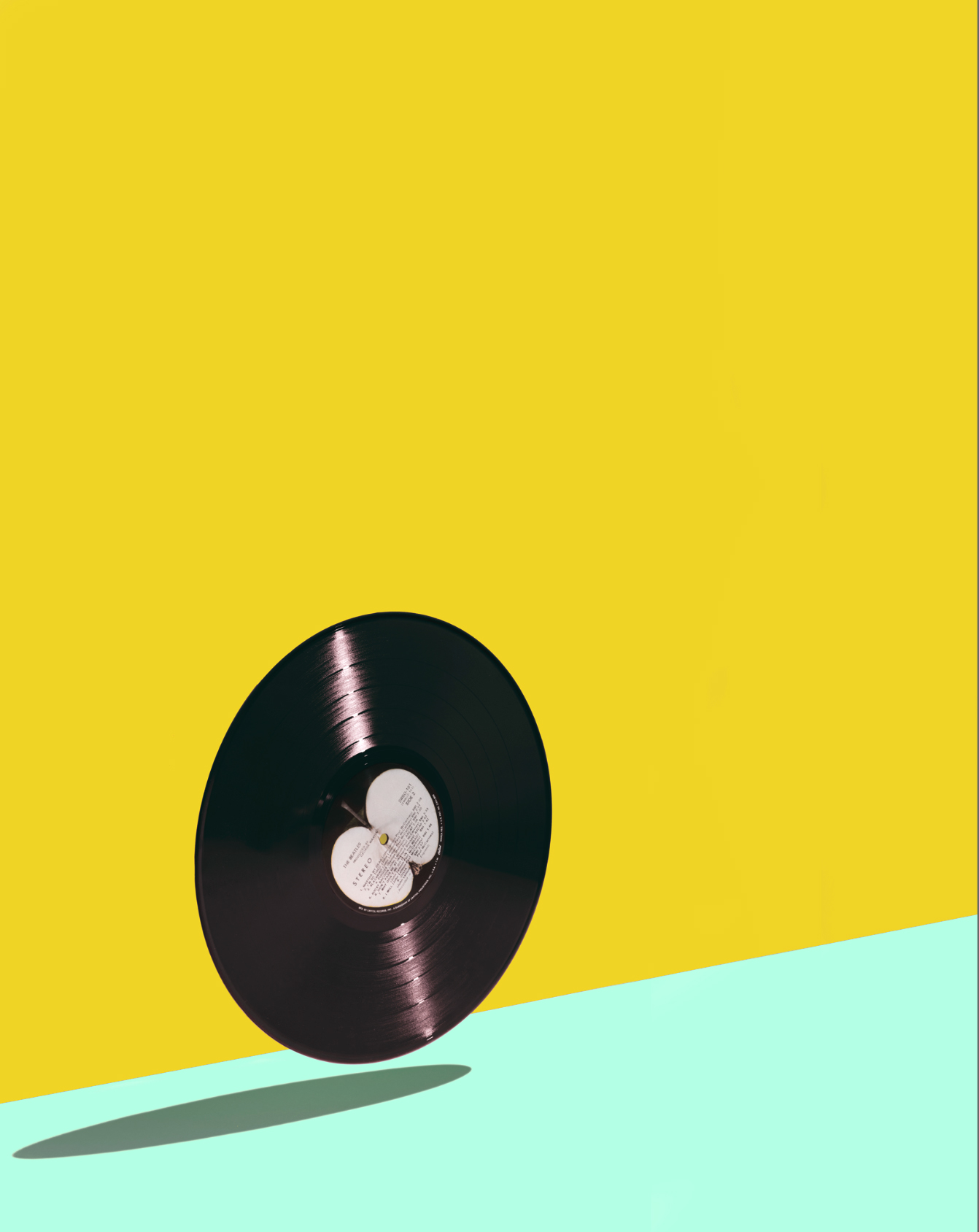 Objects That Matter: Vinyl