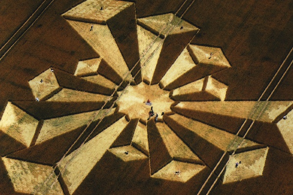 Meet the Croppies - Pacific Standard