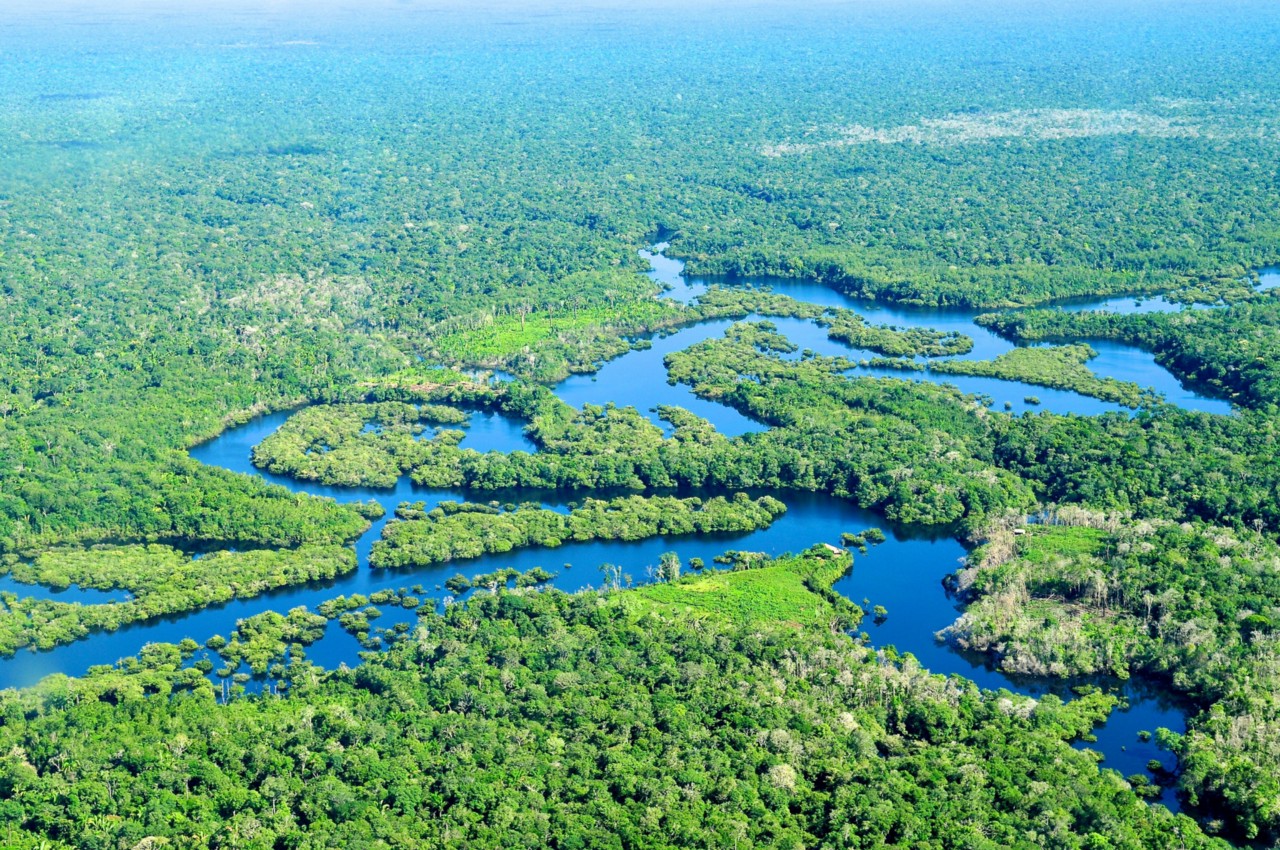 The Many Threats to Biodiversity in Brazil