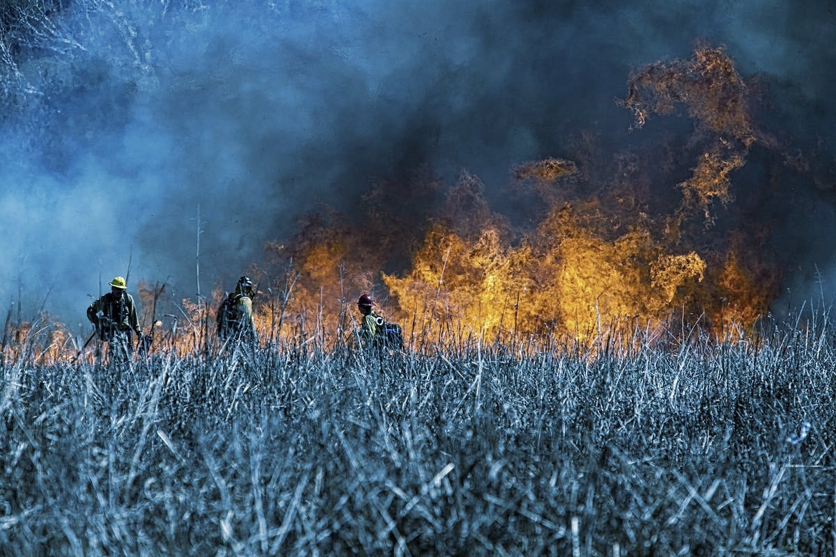 Prescribed Burning: Fighting Fire With Fire in the American West