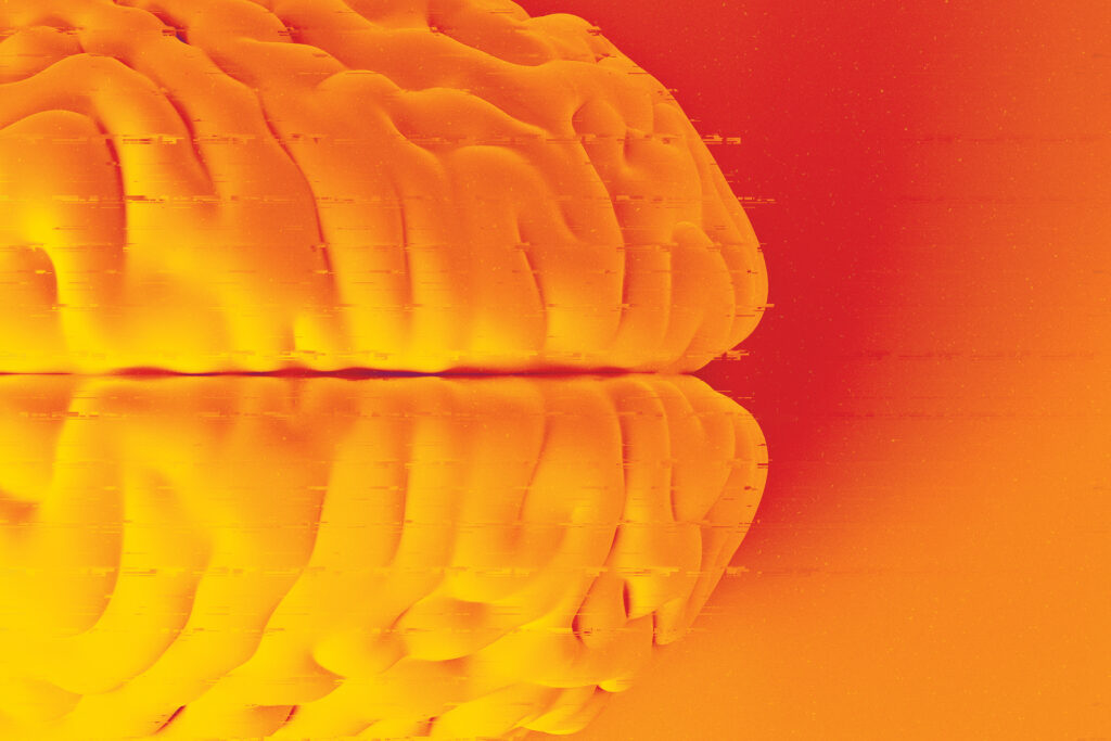 Scientists Partially Revived Dead Pigs' Brains. Here's What That Means ...