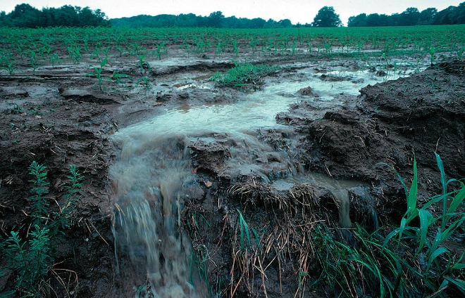 After 40 Years of Effort, Tanzania Creates New Protected Area for ...