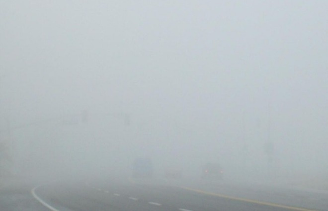 The Disappearance of Fog on California's Farms - Pacific Standard