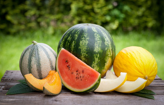 Melon Love: From Raphael to Tenacious D, a Brief History of Erotic ...