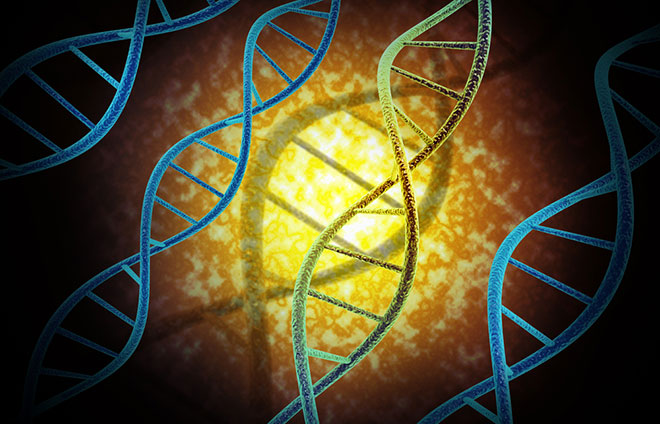 The Giant Mutations in the Human Genome - Pacific Standard