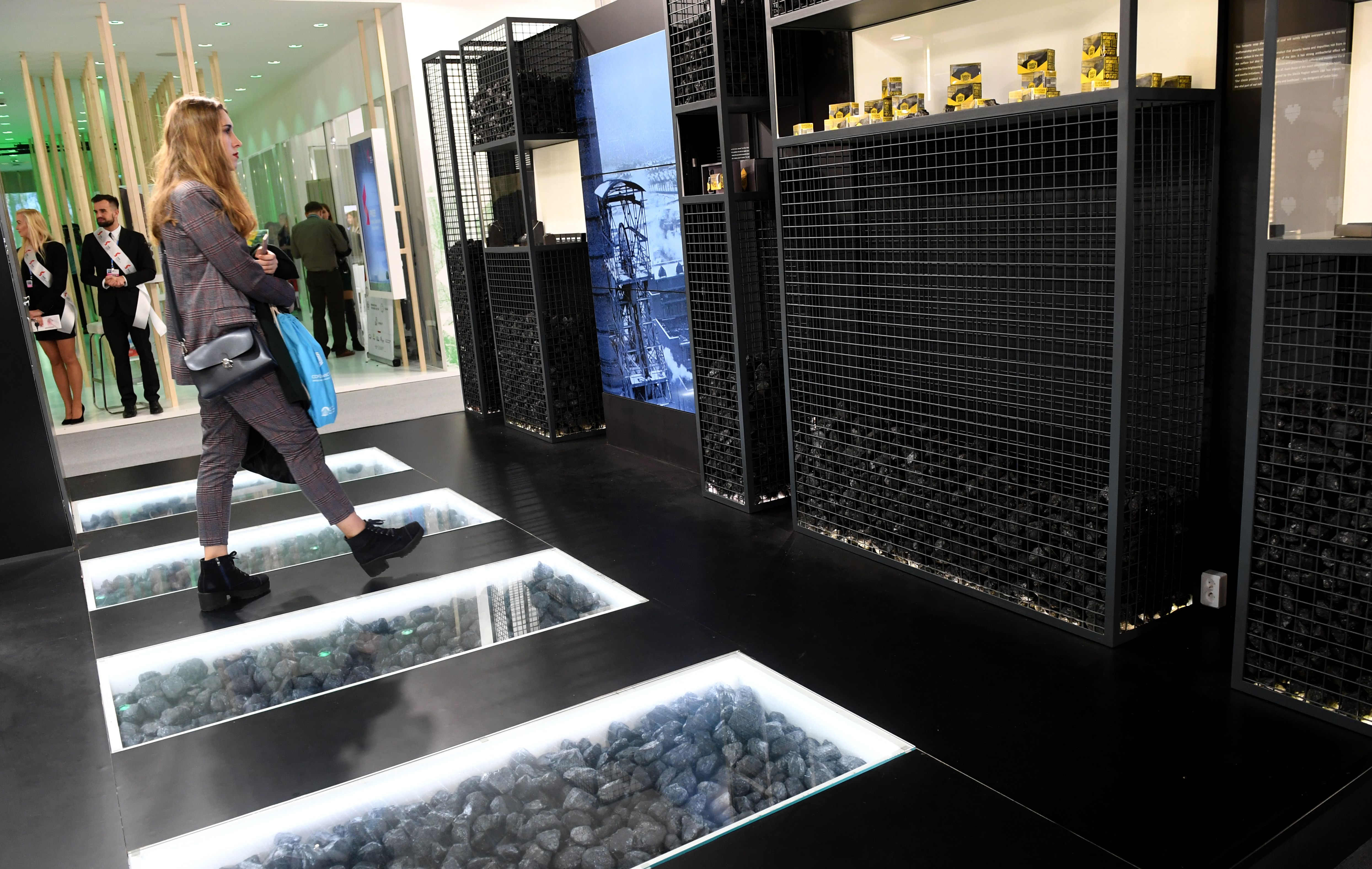 At COP24, Poland Unveils a Declaration to Protect Its Forests