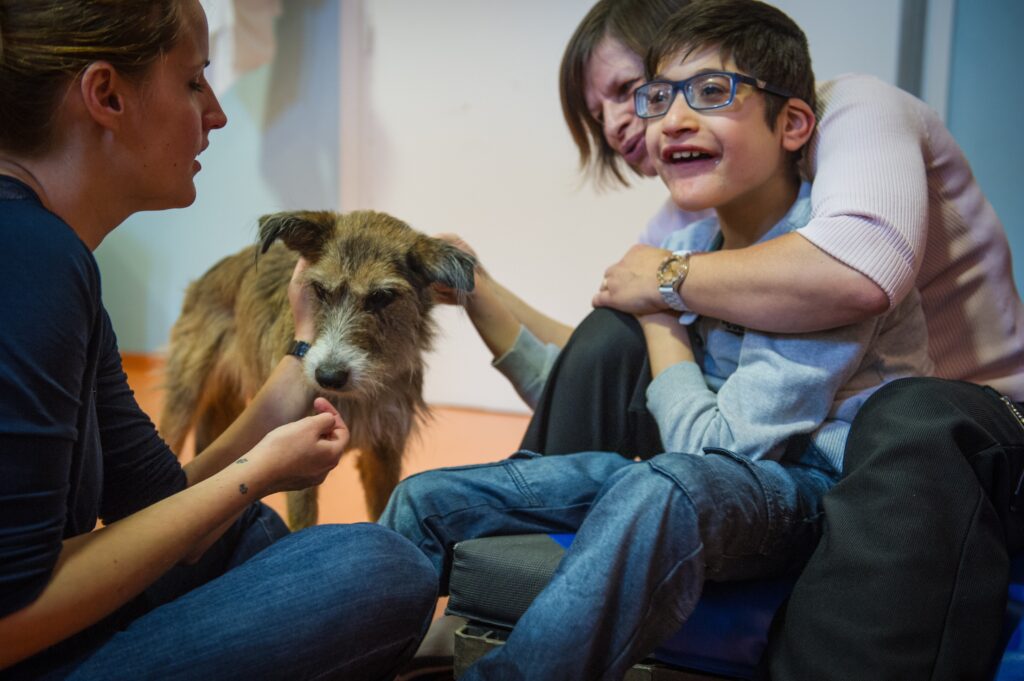 Does Animal-Assisted Therapy Help Adolescents With Psychiatric Problems ...