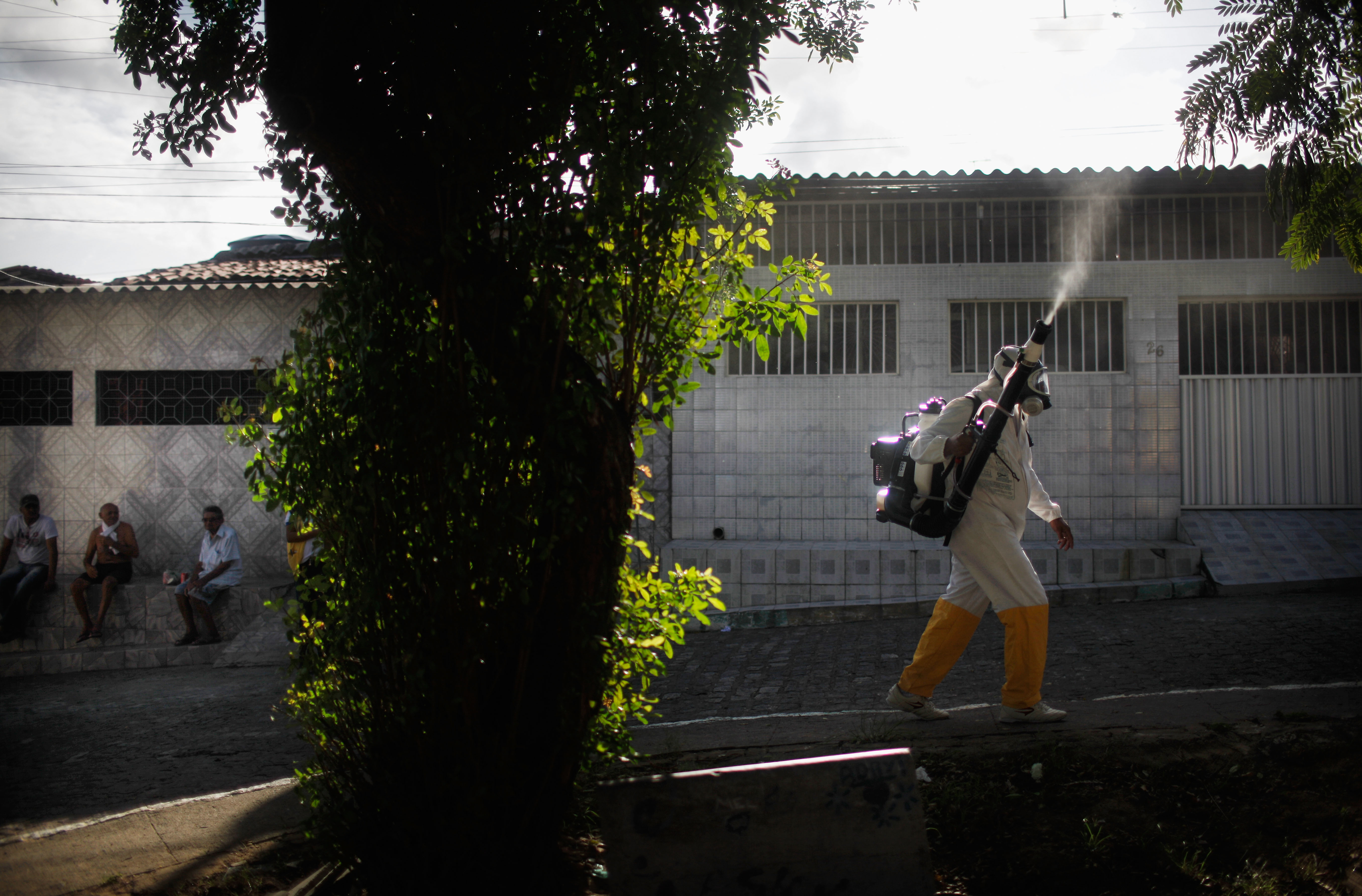 Will the Zika Virus Outbreak Change Minds About GMOs? - Pacific Standard