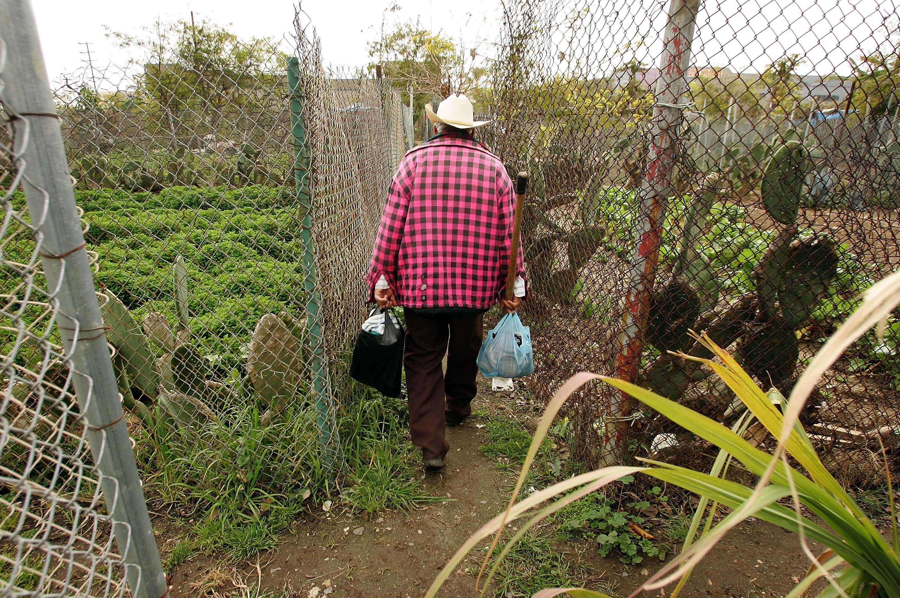 Inside an Unsuccessful Effort to Turn Vacant Lots Into Urban Farms