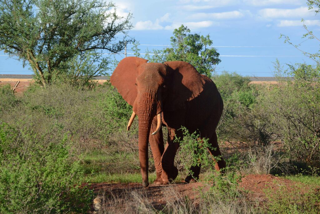 New DNA Extraction Techniques Are Helping Enhance Our Understanding of ...
