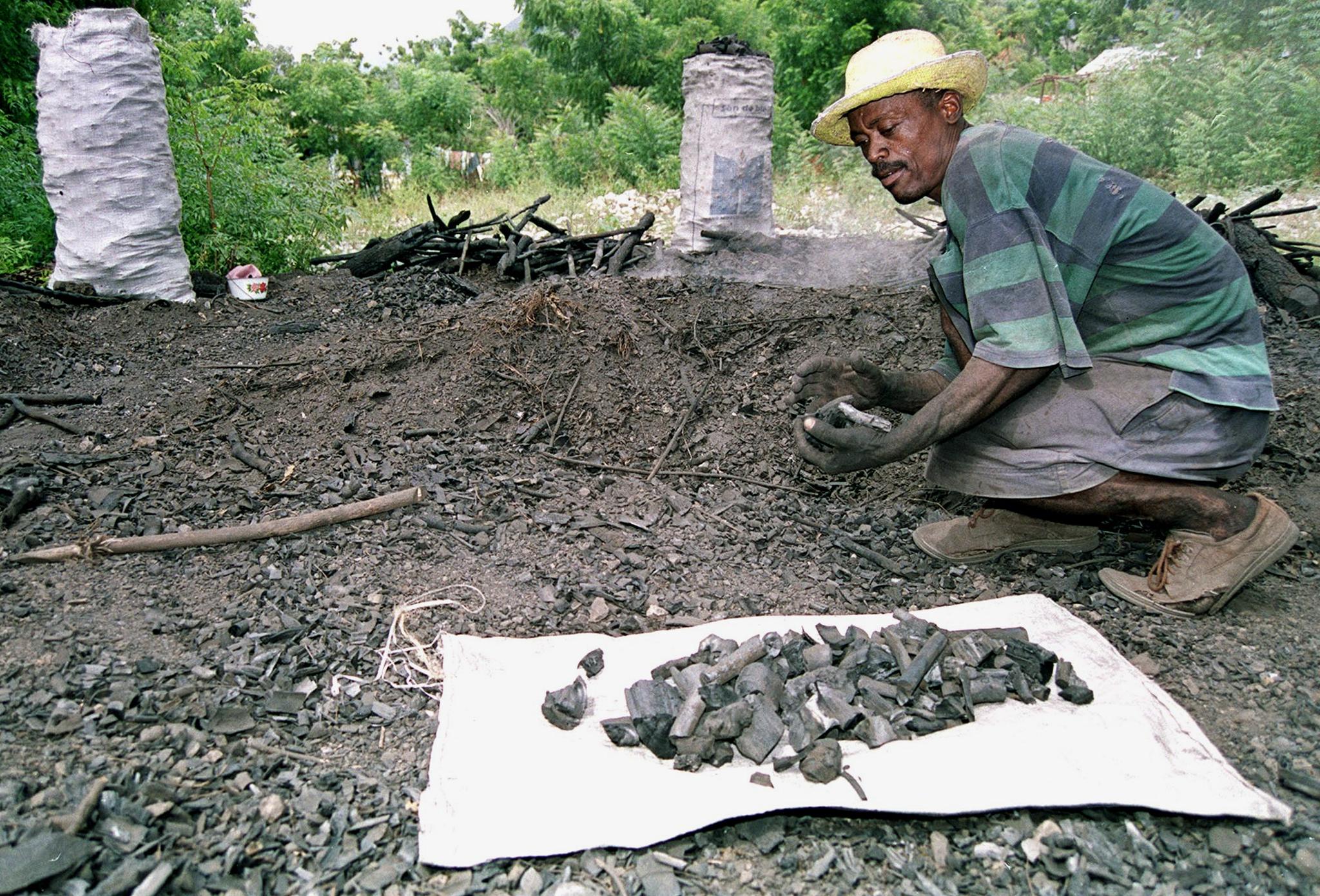 If Current Deforestation Rates Continue, Haiti May Lose Its Forests ...