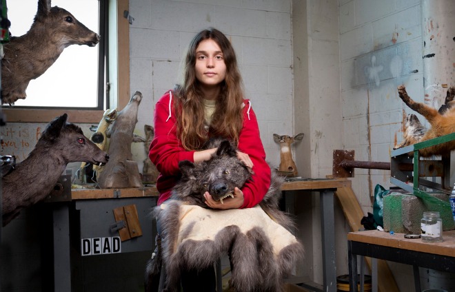 How Do You Make a Living, Taxidermist? - Pacific Standard