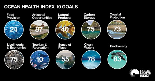 Is the Global Ocean Healthy? We Can Answer That Now - Pacific Standard