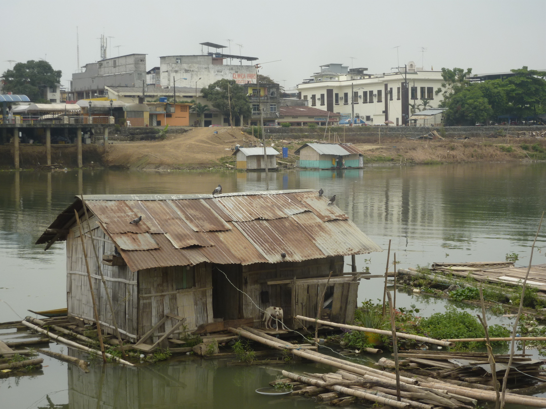 Climate Change, El Niño, and the State of Emergency in Ecuador ...