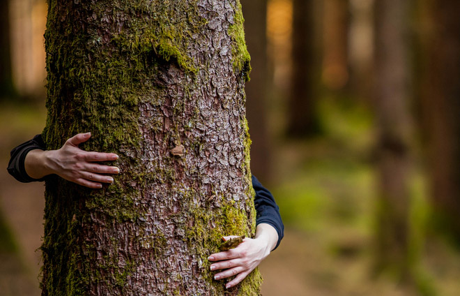 A Belief in 'Oneness' Is Equated With Pro-Environment Behavior ...