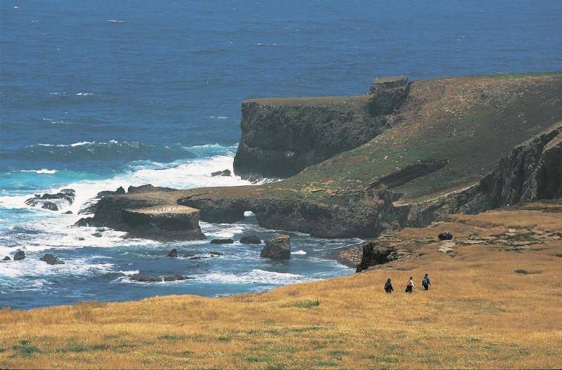 What One Tiny California Island Can Teach Us About Dealing With Climate ...