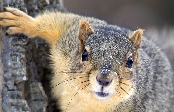 The Flaws of Familial DNA Matching - Pacific Standard