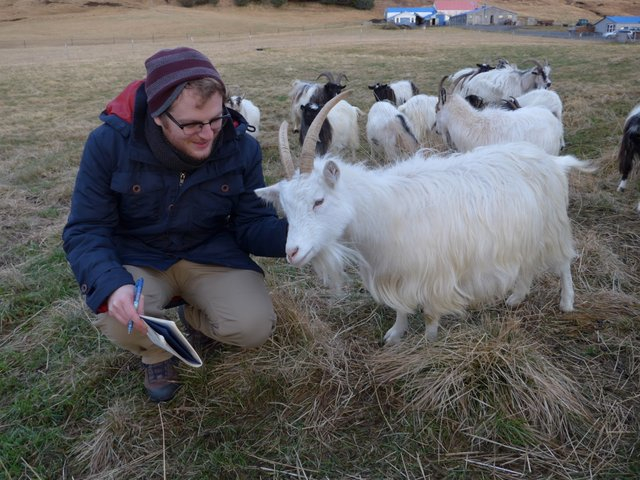 How the Icelandic Goats From 'Game of Thrones' Almost Went Extinct ...