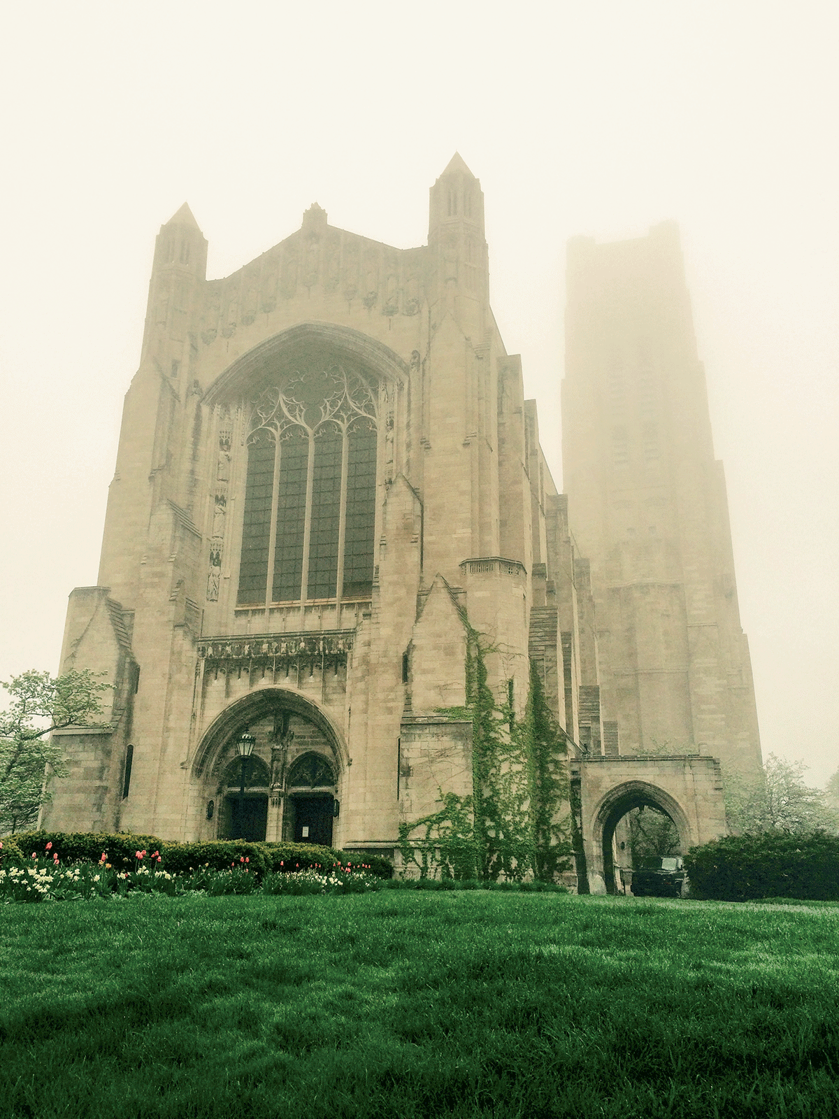 The View From Your Ivory Tower - Pacific Standard