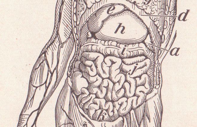 The Organ Detective: A Career Spent Uncovering a Hidden Global Market ...