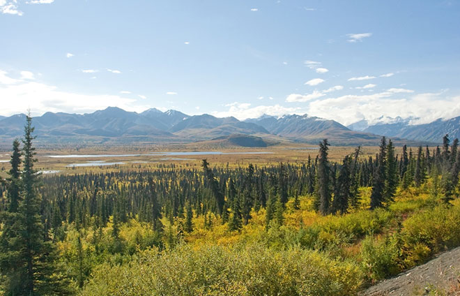 Opting Out: Papa Pilgrim and the Lure of Off-Grid Wilderness Living ...